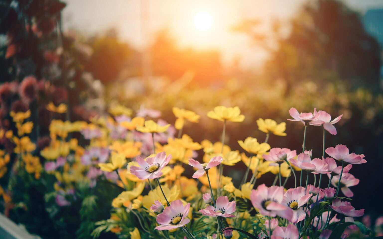How To Host At Home - Spring Garden Party - An Exciting Day